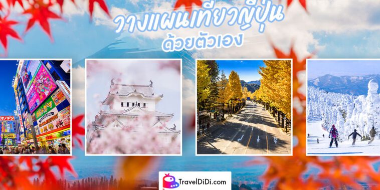 แนะนำ 23 ที่เที่ยวคาวากุจิโกะ - เที่ยวได้ 4 ฤดู !! — TravelDiDi