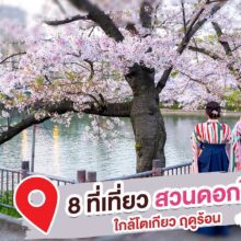 100 + แคปชั่นเที่ยวญี่ปุ่น ฮา ๆ น่ารัก เรียกยอด Like! — TravelDiDi