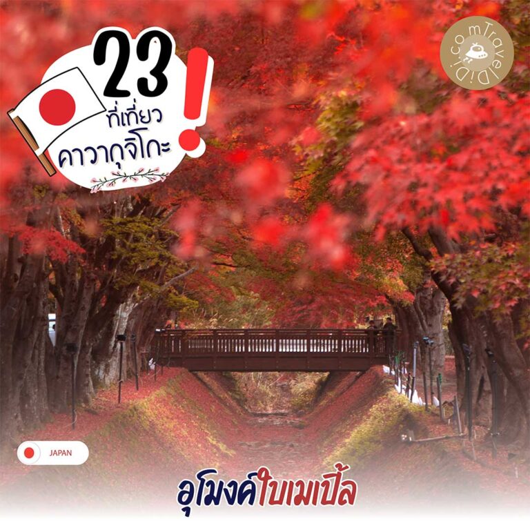 แนะนำ 23 ที่เที่ยวคาวากุจิโกะ - เที่ยวได้ 4 ฤดู !! — Traveldidi
