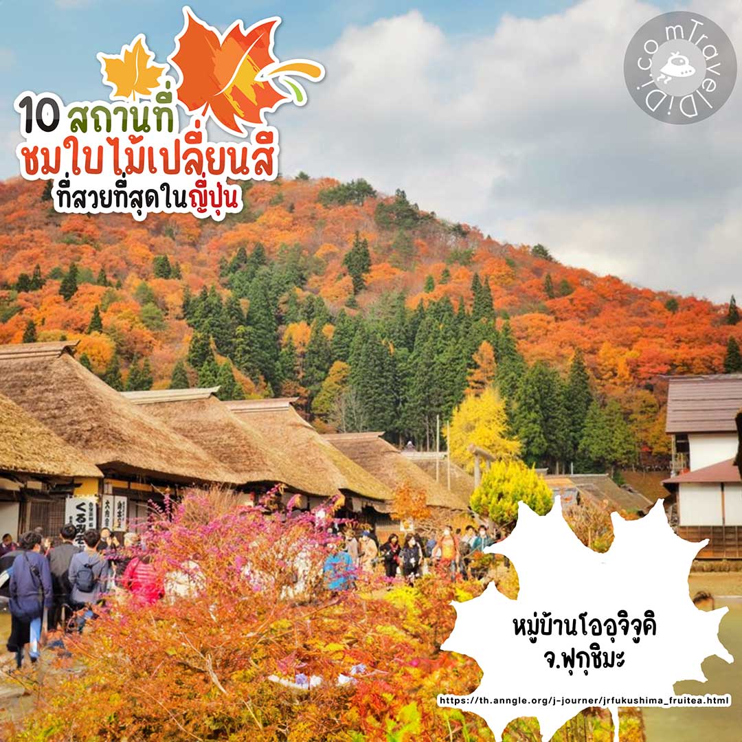 10 สถานที่เที่ยวชมใบไม้เปลี่ยนสี ญี่ปุ่น ที่สวยที่สุด ประจำปี 2025 — Traveldidi