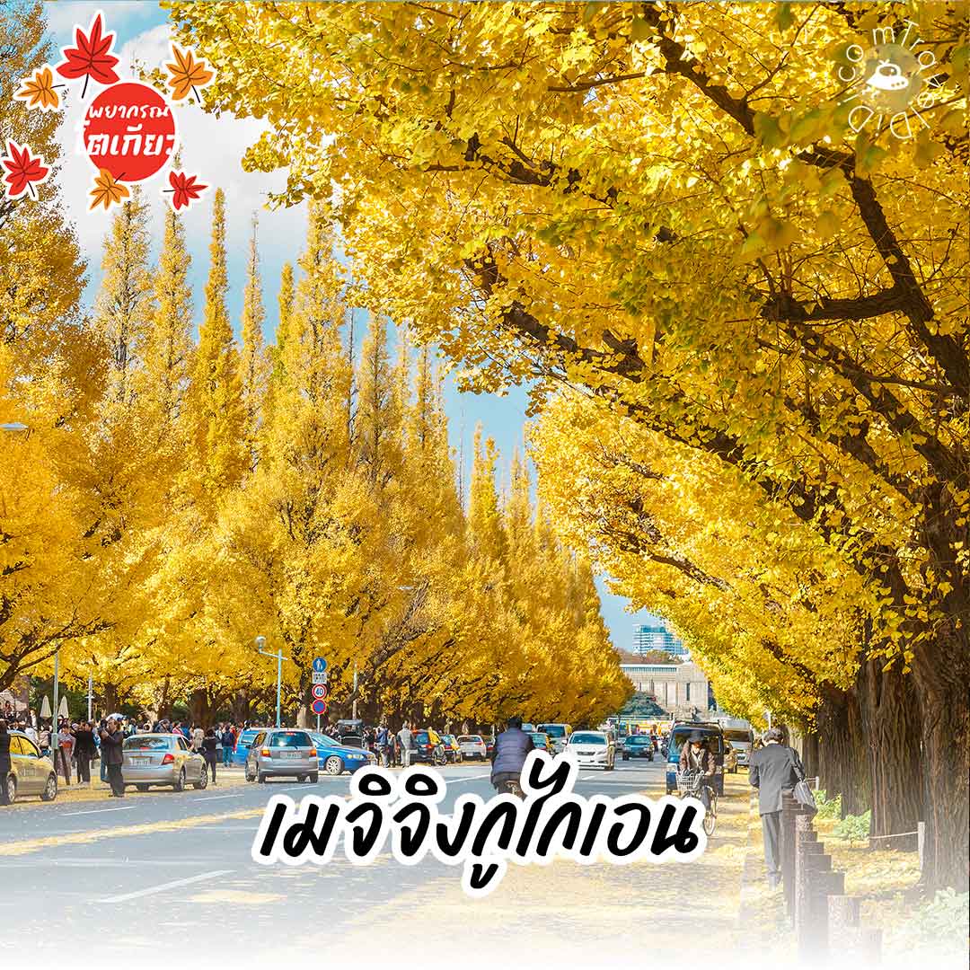 พยากรณ์ใบไม้เปลี่ยนสี 'โตเกียว' ญี่ปุ่น 2023 - พร้อม 7 จุดชมที่ดีที่สุด — Traveldidi